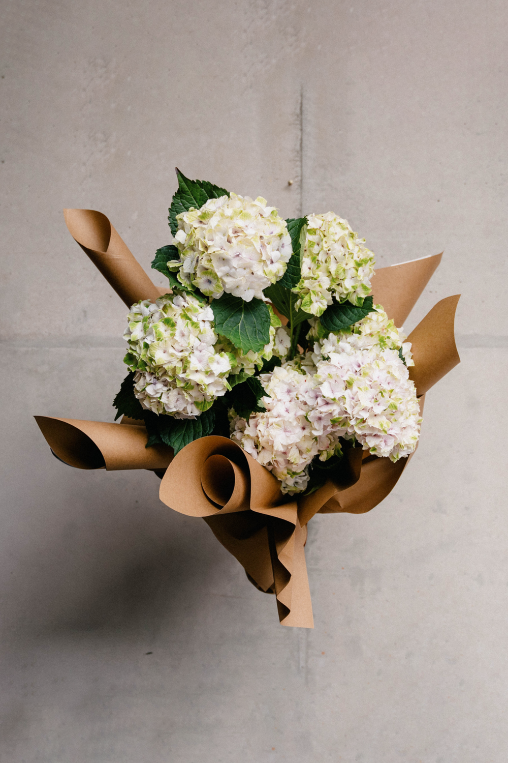 September Studio - Flower Studio - Sydney same Day Delivery